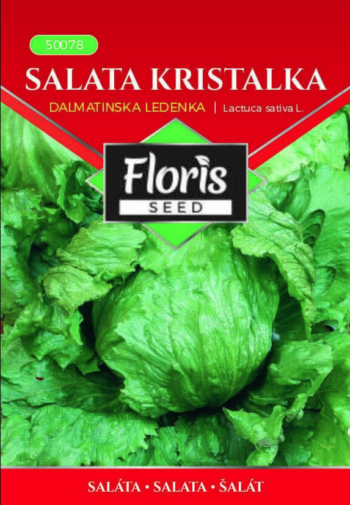 Salata Dalmatinska Ledenka 2g | Poljokomerc.rs